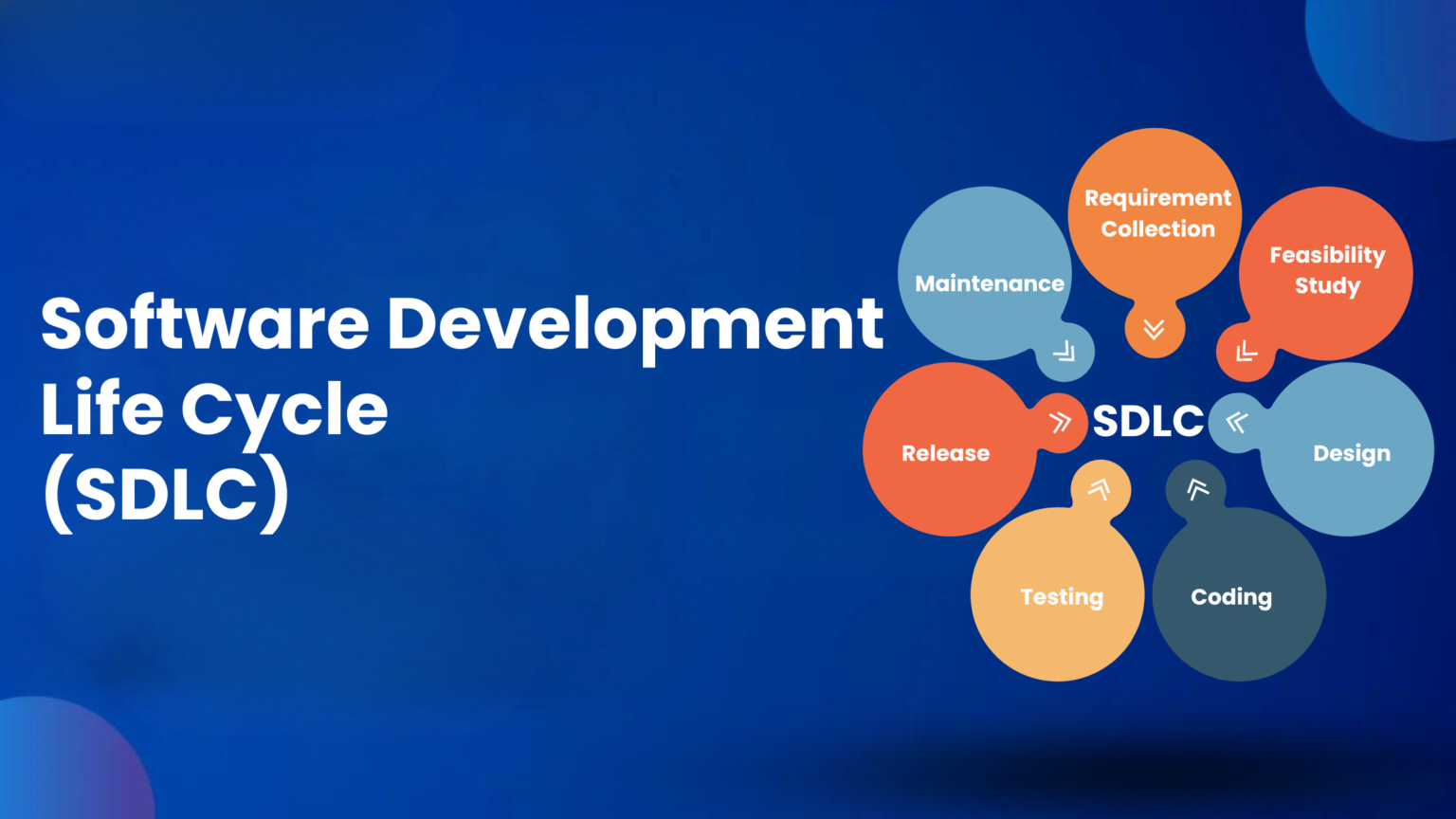 Software Development Life Cycle